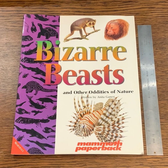 Accents | Bizarre Beasts And Other Oddities Of Nature Large Illustrated ...